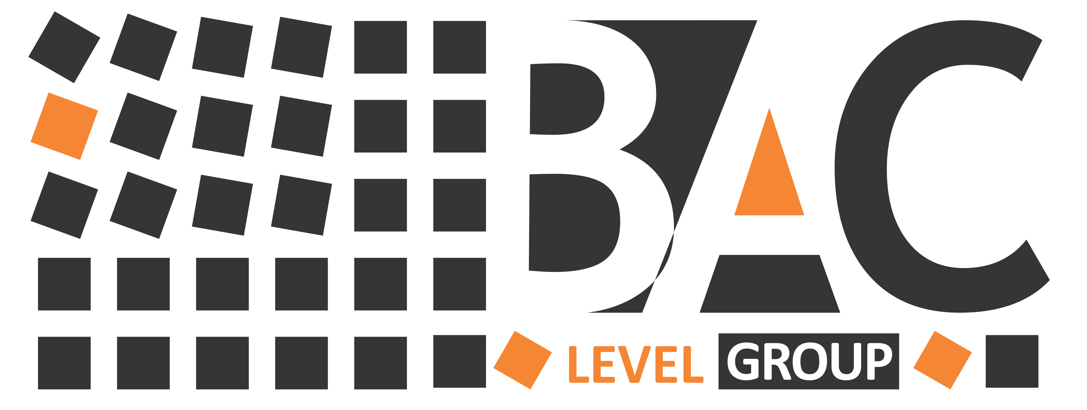 Programa academico - BAC level group